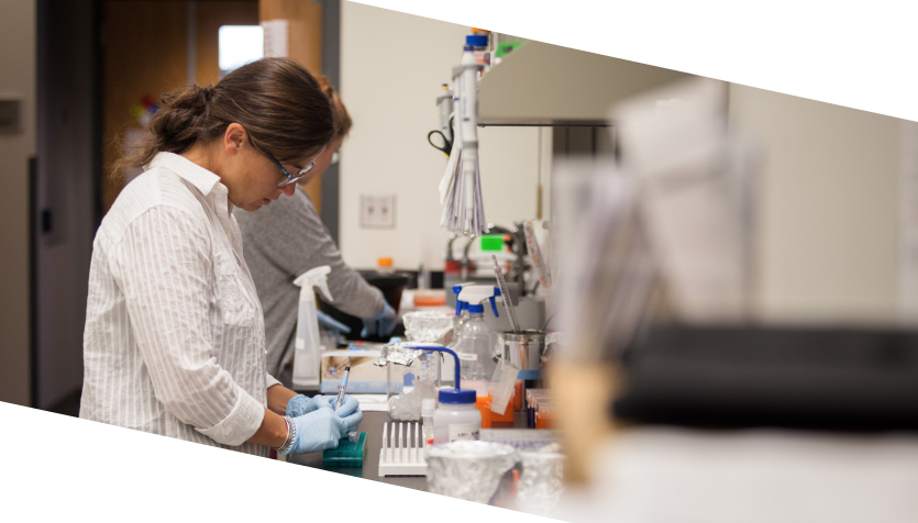 Academics | Hybl Center